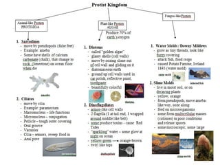 Cell Types and Its function , kingdom of life | PPTX