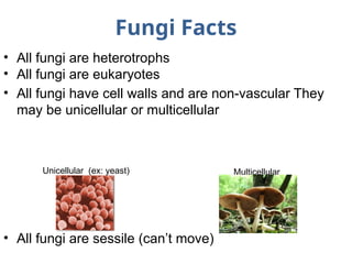 Cell Types and Its function , kingdom of life | PPTX