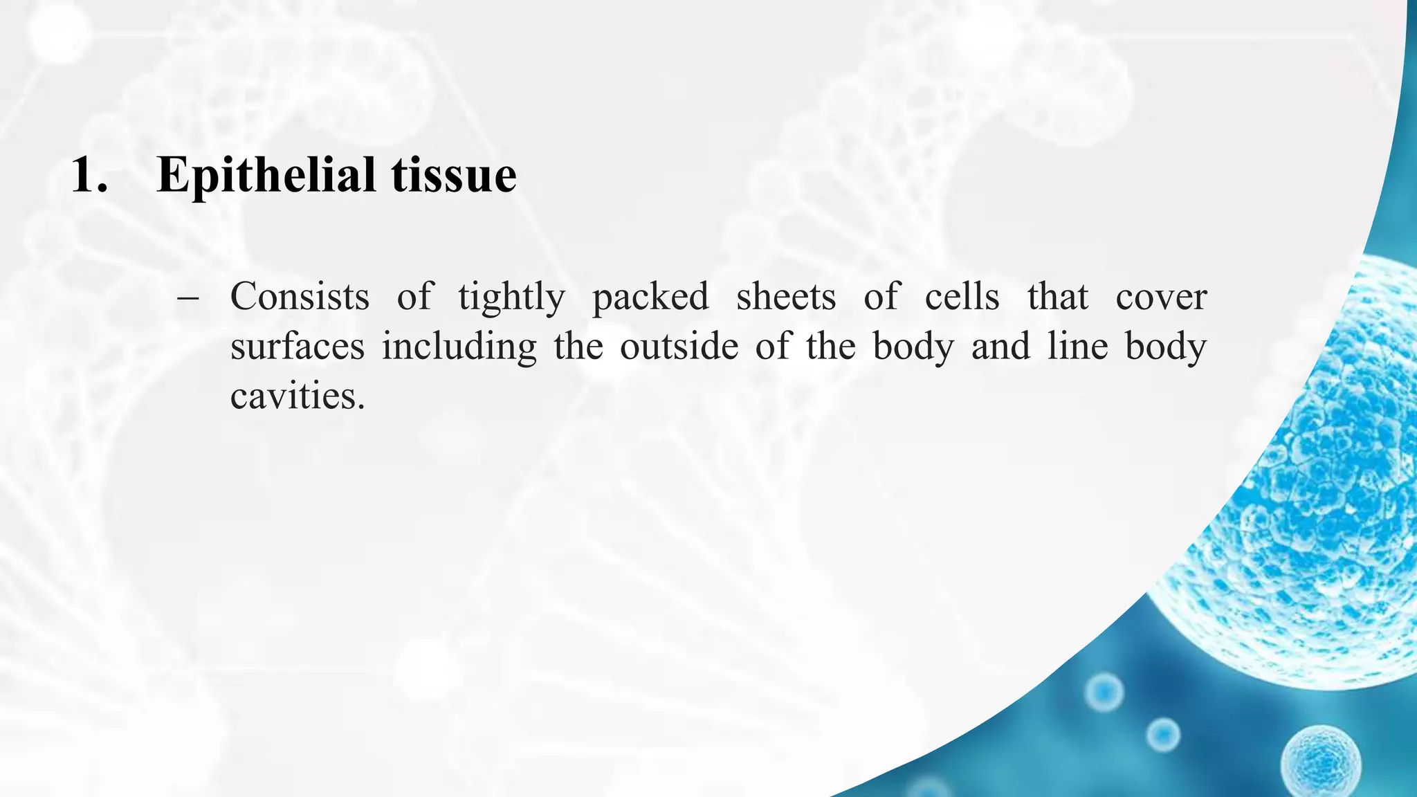 Cell types and cell cycle.pptx