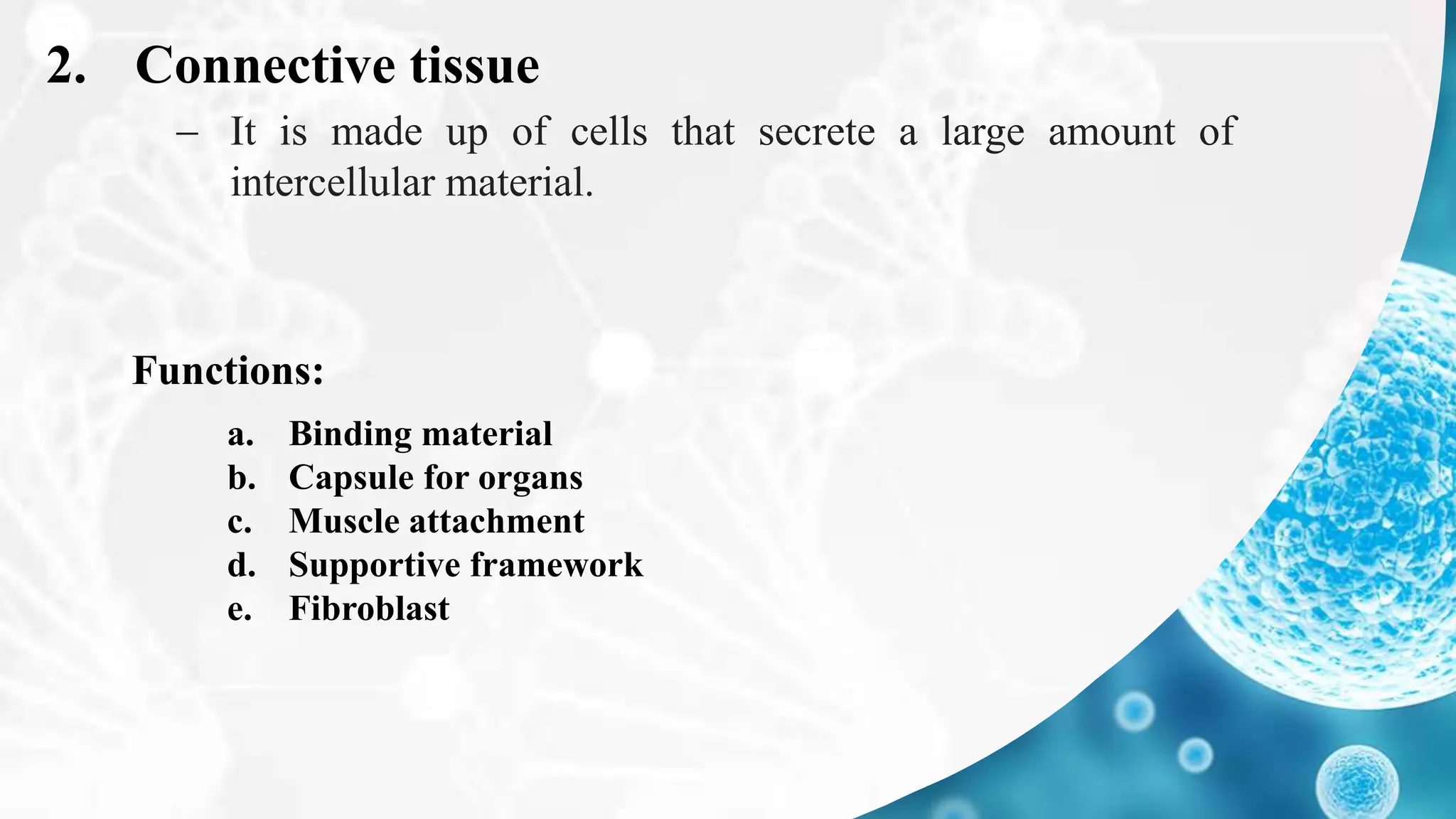 Cell types and cell cycle.pptx
