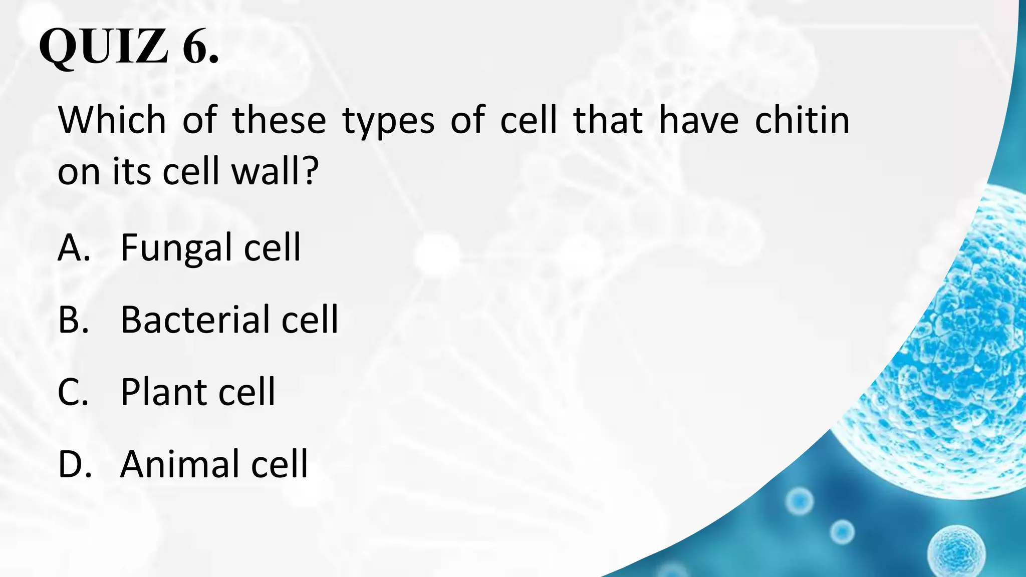 Cell types and cell cycle.pptx | Biological Sciences | Science
