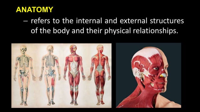 Cell types and cell cycle.pptx | Biological Sciences | Science