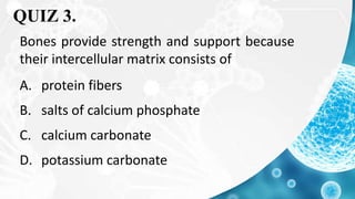 Cell types and cell cycle.pptx