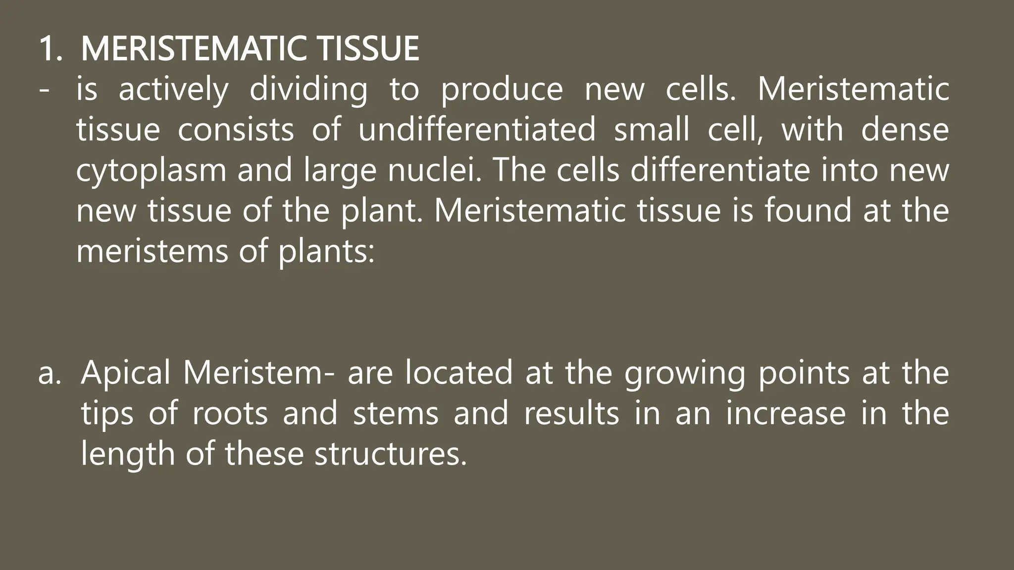 CELL TYPES, FUNCTIONS, AND MODIFICATION.pptx