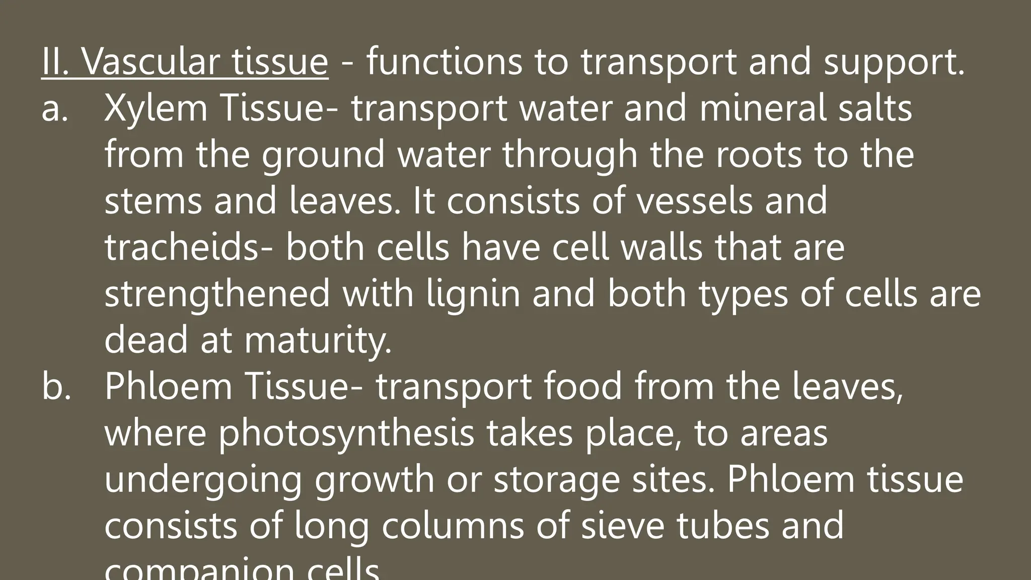 CELL TYPES, FUNCTIONS, AND MODIFICATION.pptx