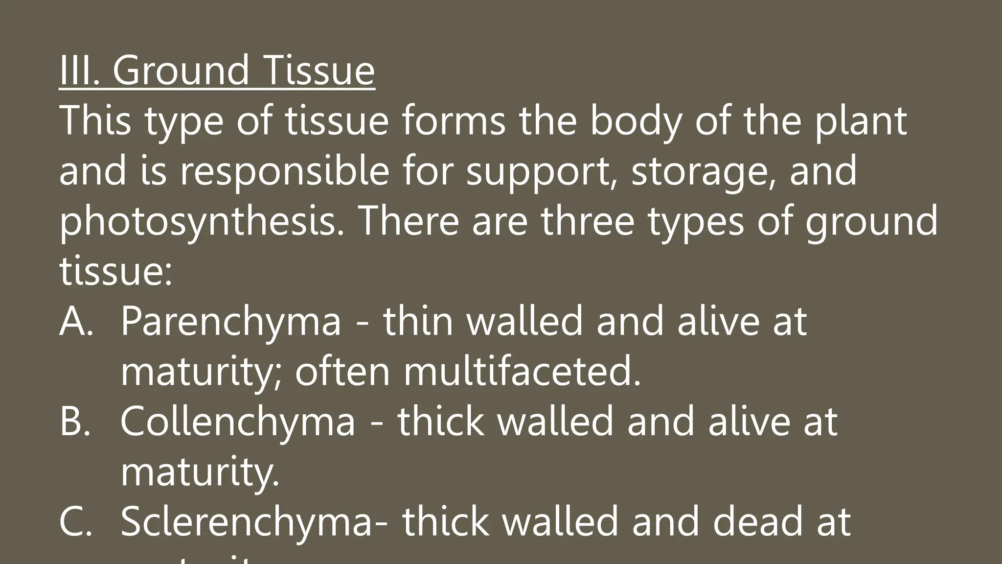 CELL TYPES, FUNCTIONS, AND MODIFICATION.pptx