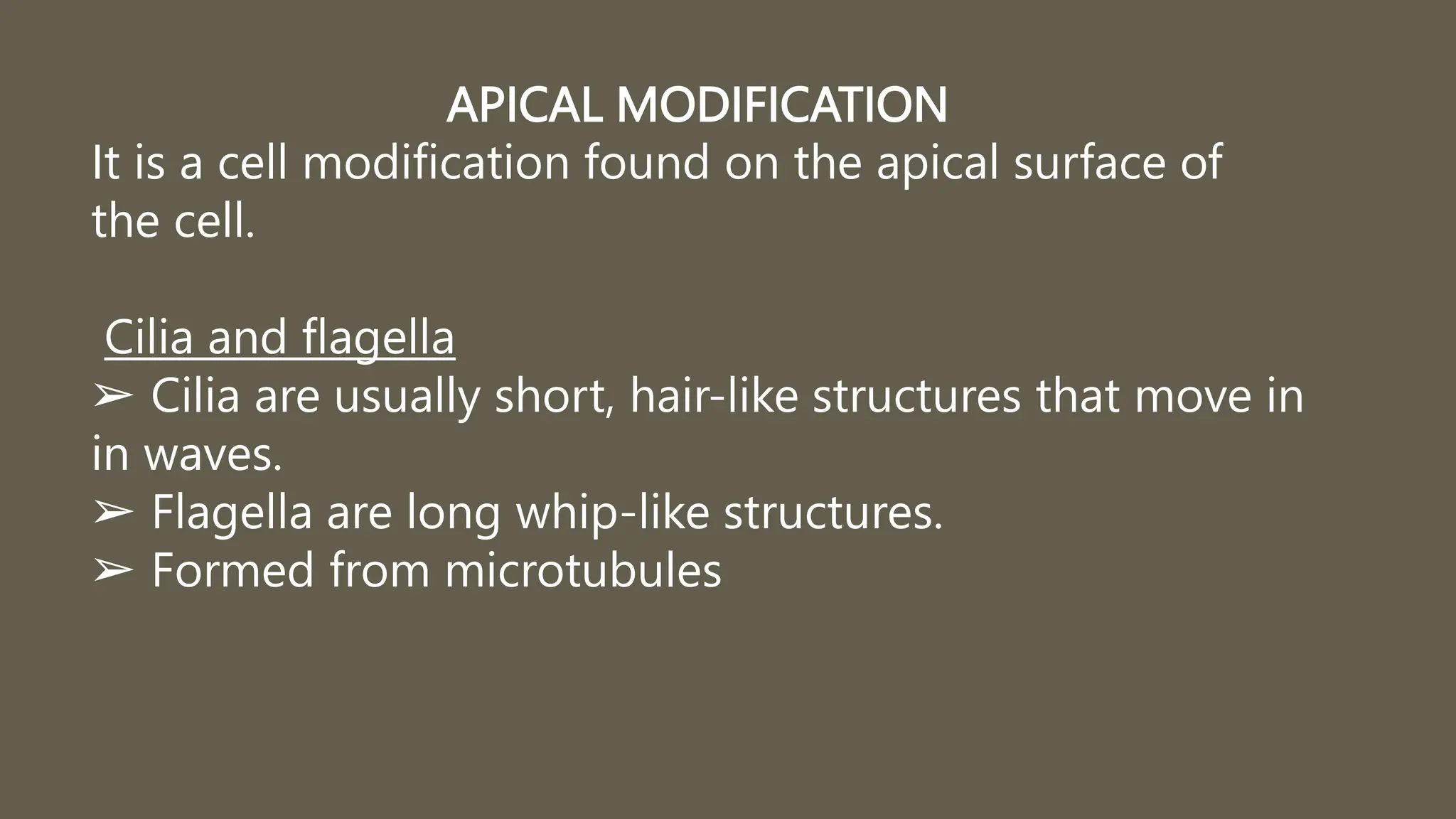 CELL TYPES, FUNCTIONS, AND MODIFICATION.pptx