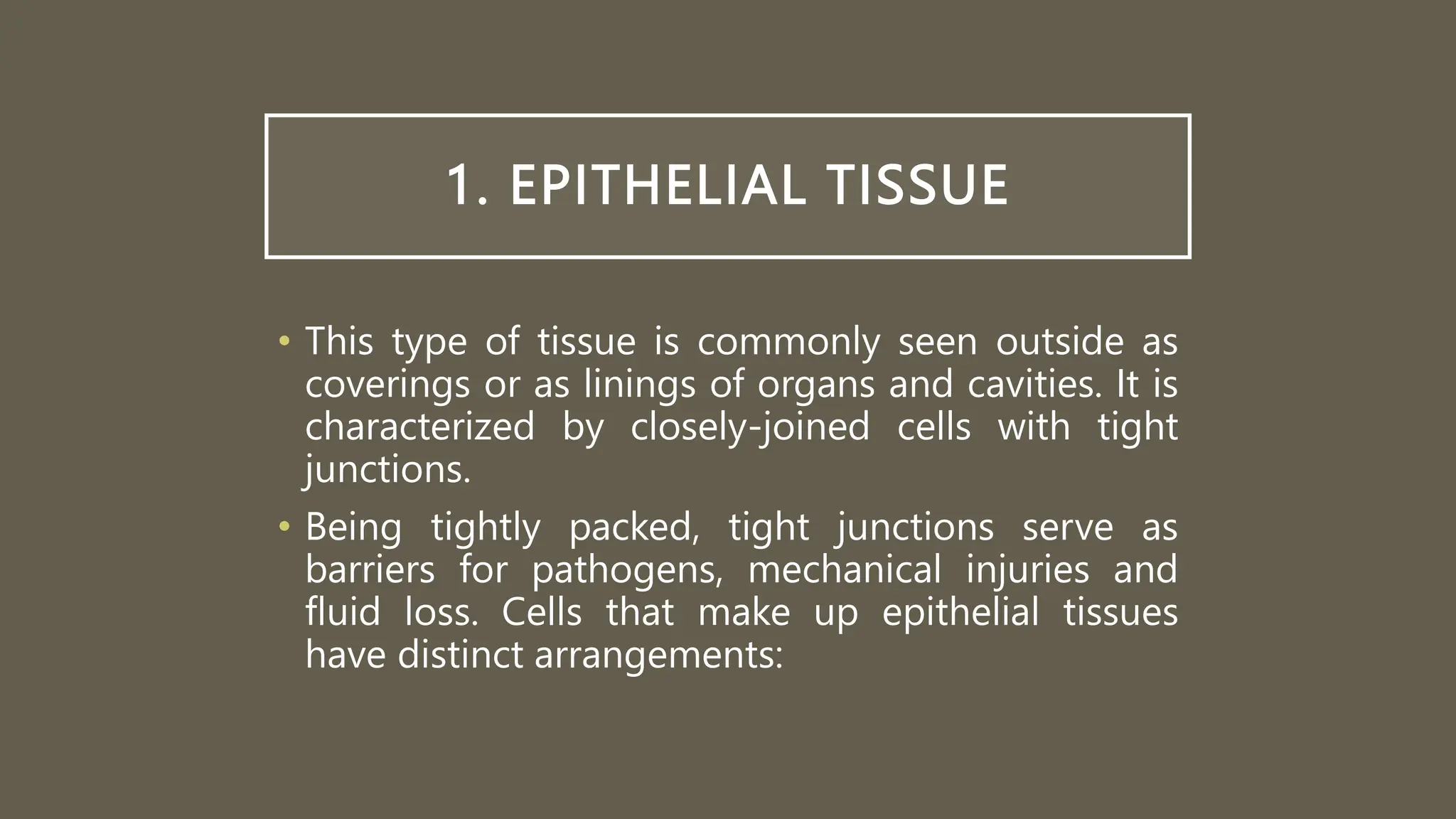 CELL TYPES, FUNCTIONS, AND MODIFICATION.pptx