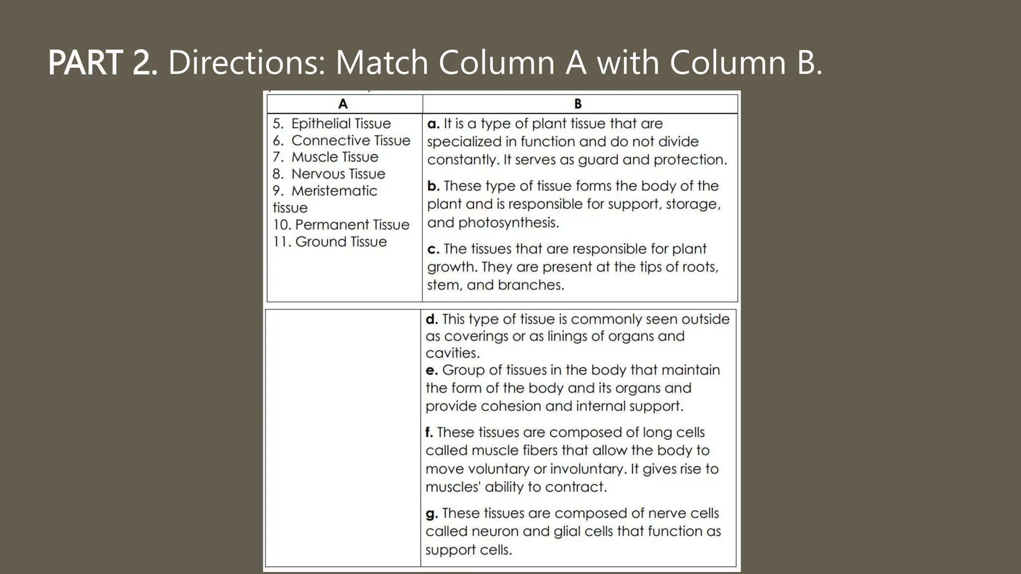 CELL TYPES, FUNCTIONS, AND MODIFICATION.pptx