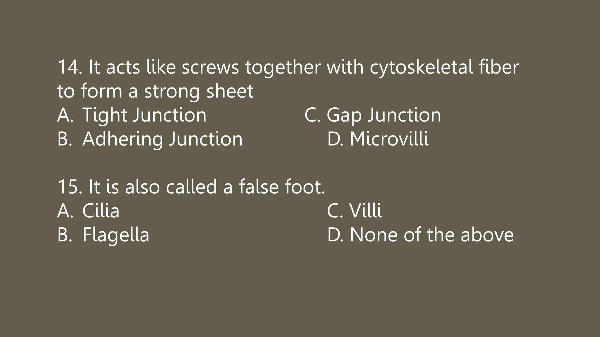 CELL TYPES, FUNCTIONS, AND MODIFICATION.pptx