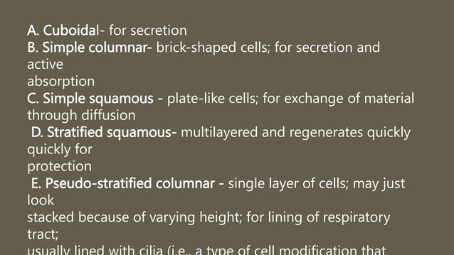 CELL TYPES, FUNCTIONS, AND MODIFICATION.pptx