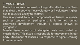 CELL TYPES, FUNCTIONS, AND MODIFICATION.pptx