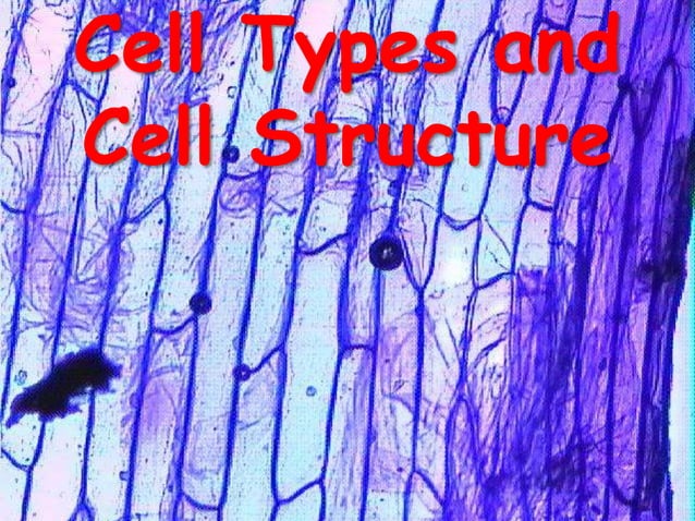 Cell types, part and function | PPTX | Biological Sciences | Science