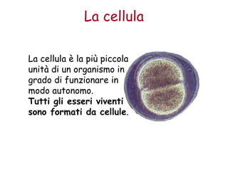 Cellula prova | PPT
