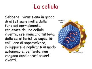 Cellula prova | PPT