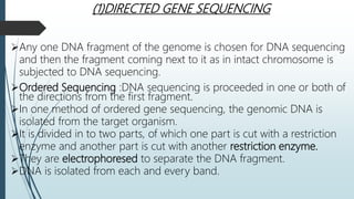 Identification Technique for Gene | PPTX