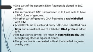 Identification Technique for Gene | PPTX