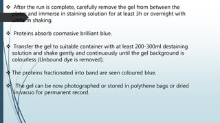 Identification Technique for Gene | PPTX