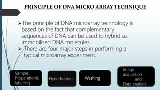 Identification Technique for Gene | PPTX