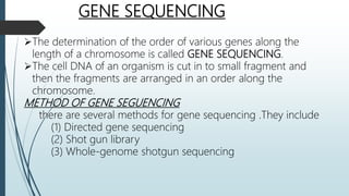 Identification Technique for Gene | PPTX