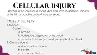 CELLULAR INJURY | PPT | Computer Animation | Computer Software and ...