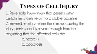 CELLULAR INJURY | PPT | Computer Animation | Computer Software and ...