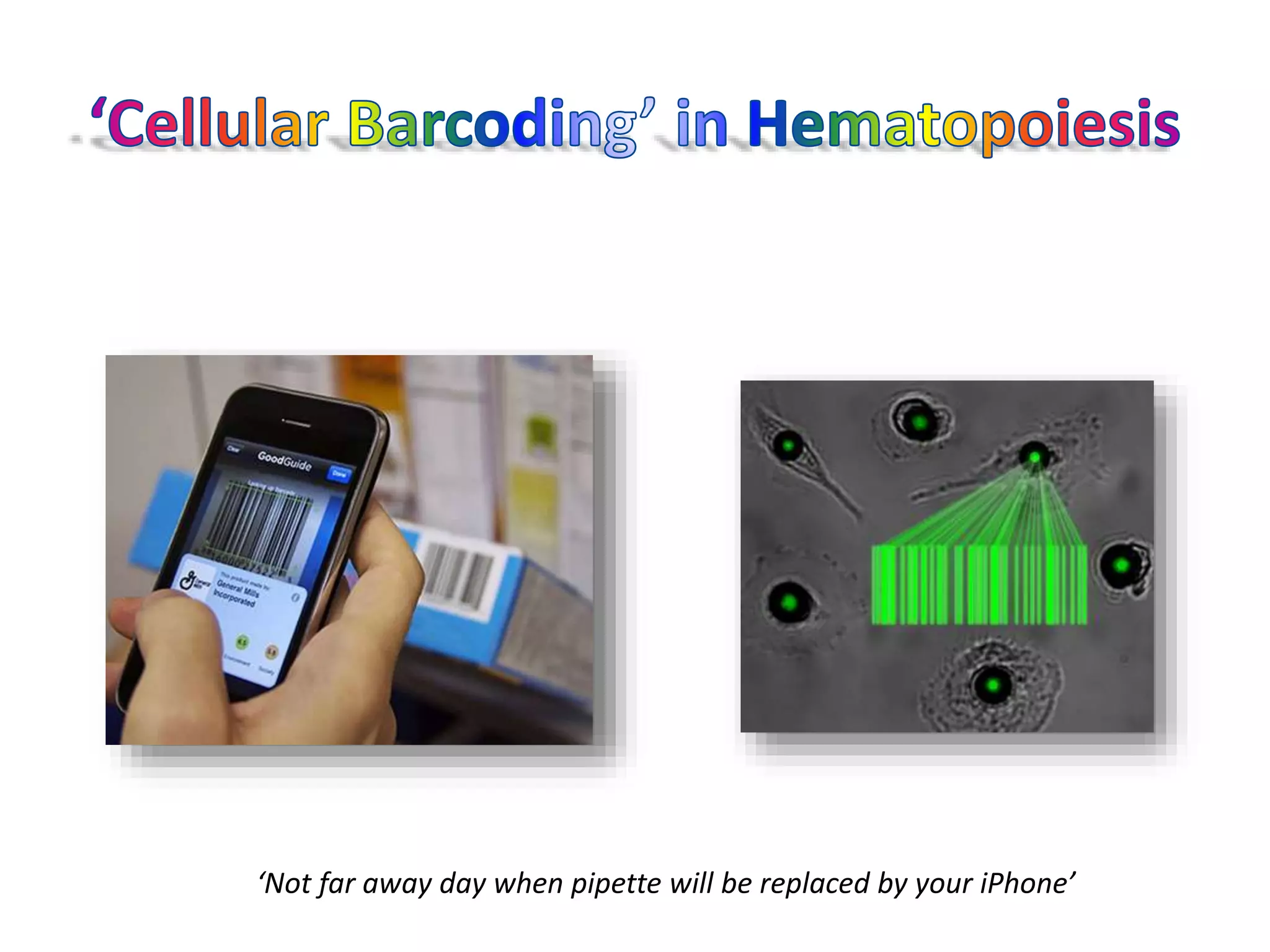 Cellular barcoding’ in hematopoiesis | PPT