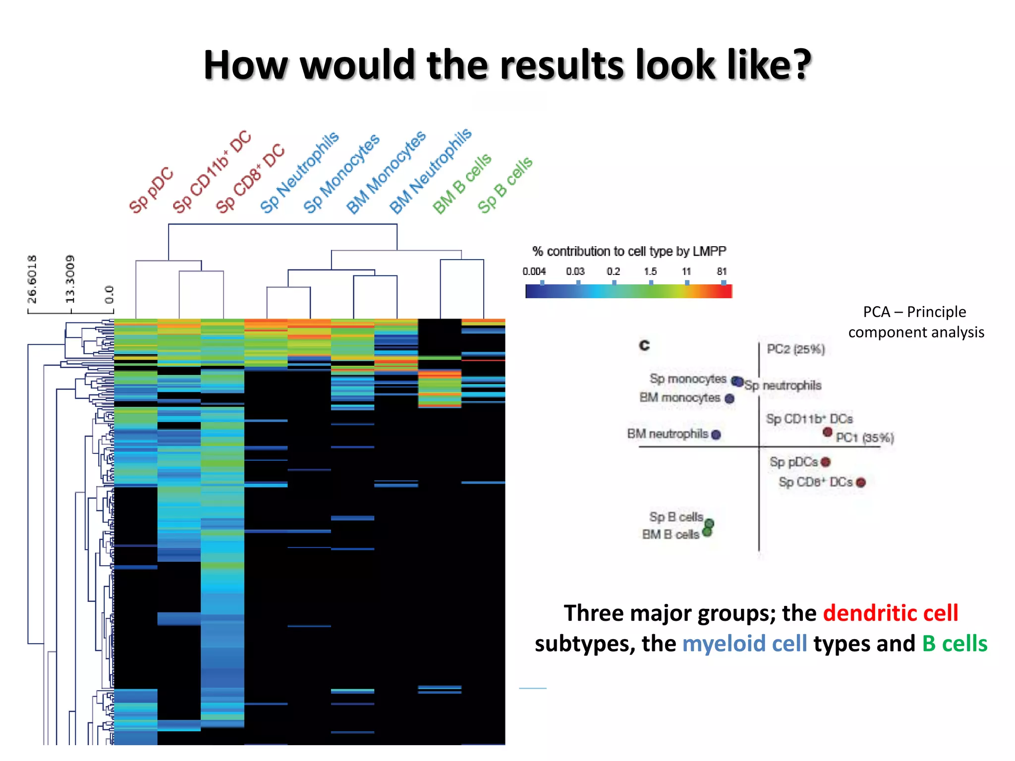 Cellular barcoding’ in hematopoiesis | PPTX