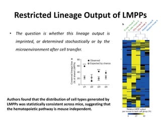 Cellular barcoding’ in hematopoiesis | PPT