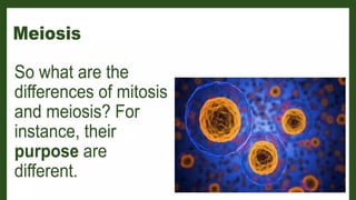 "Cellular Reproduction: Mitosis & Meiosis" | PDF