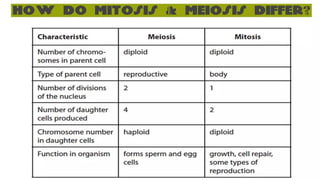 "Cellular Reproduction: Mitosis & Meiosis" | PDF
