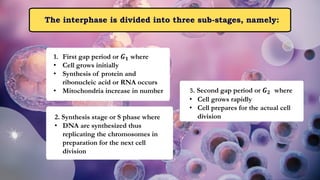 CELLULAR-REPRODUCTION (1).pdfnnjjjjjjjkkkmkmmmmmmmjj | PDF