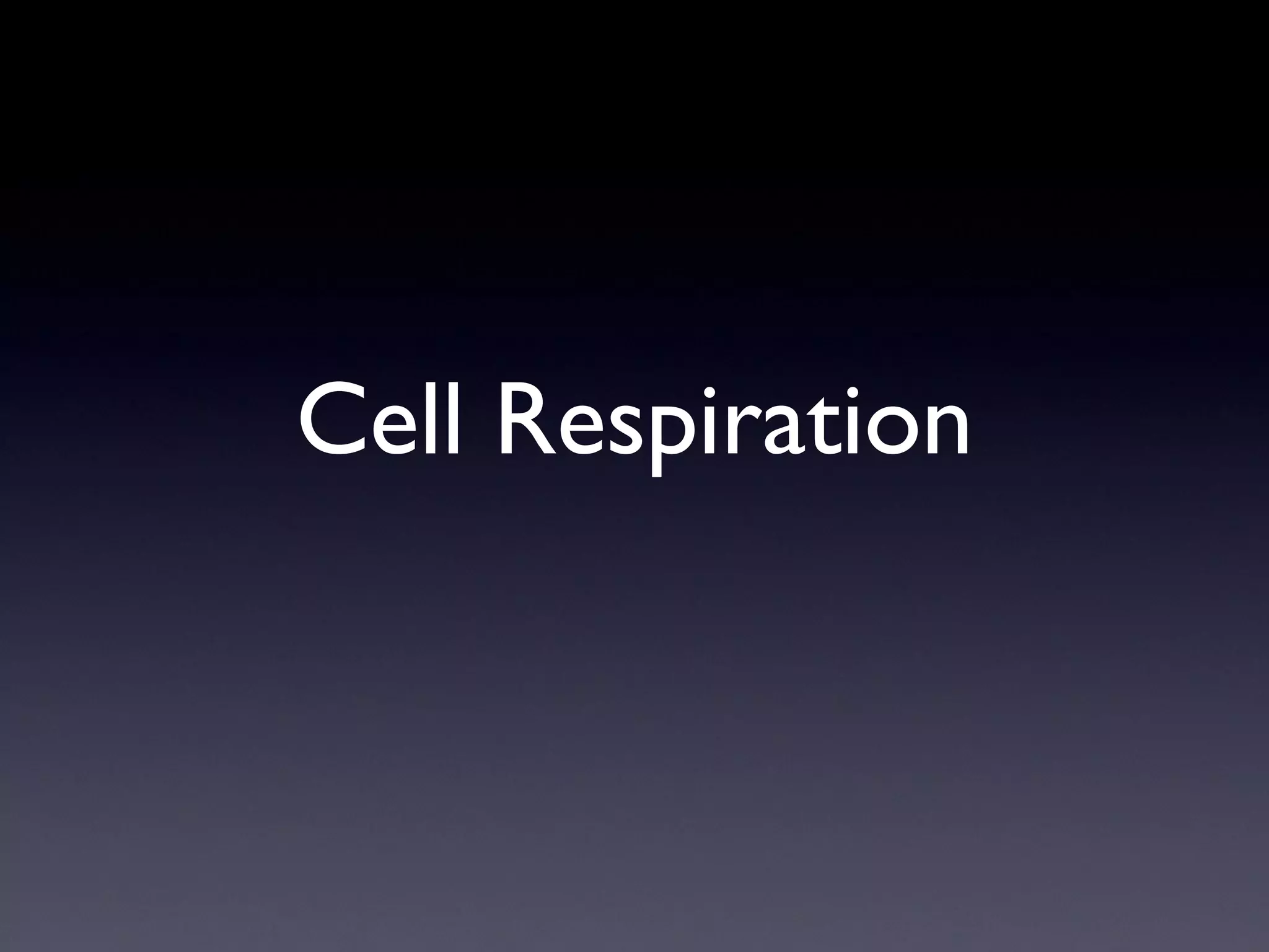 Cellular Respiration | PPT