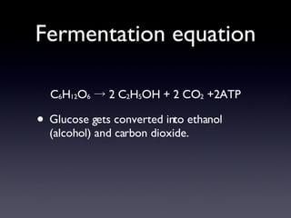 Cellular Respiration | PPT