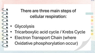 Cellular-Respiration in General Biology 1 | PDF