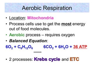 General Chemistry Cellular-Respiration.ppt