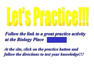 Cellular Structures and Their Functions | PPT