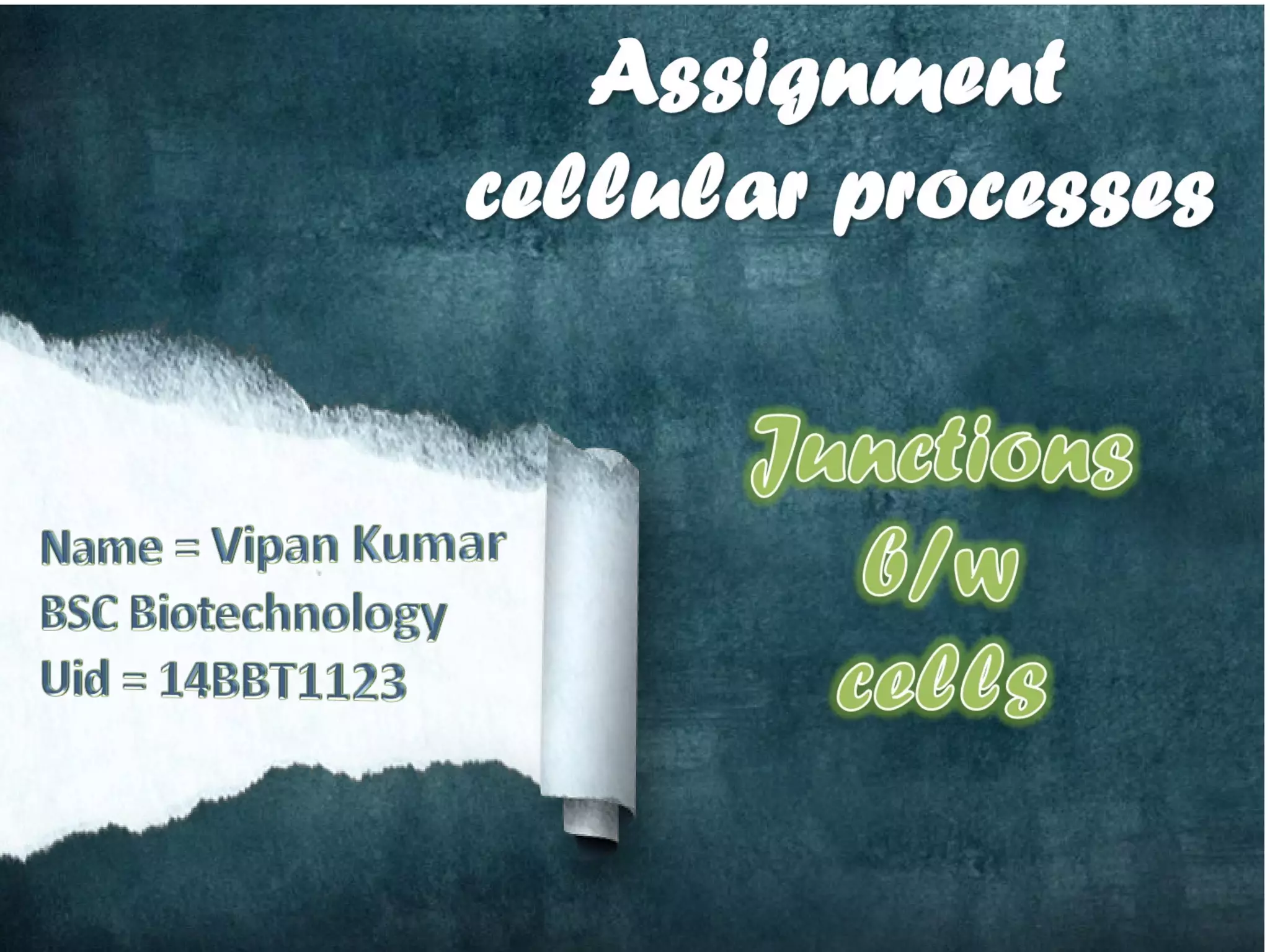 Junctions b/w cells | PPT