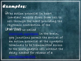 Junctions b/w cells | PPT