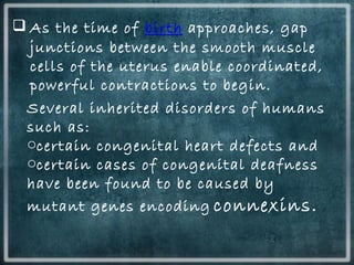 Junctions b/w cells | PPT