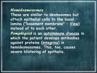 Junctions b/w cells | PPT