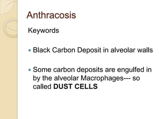 Patho-Lab 22nd Sept Cellular Accumulations | PPTX
