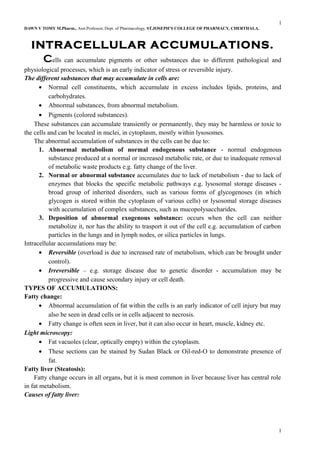 INTRACELLULAR ACCUMULATIONS | DOC