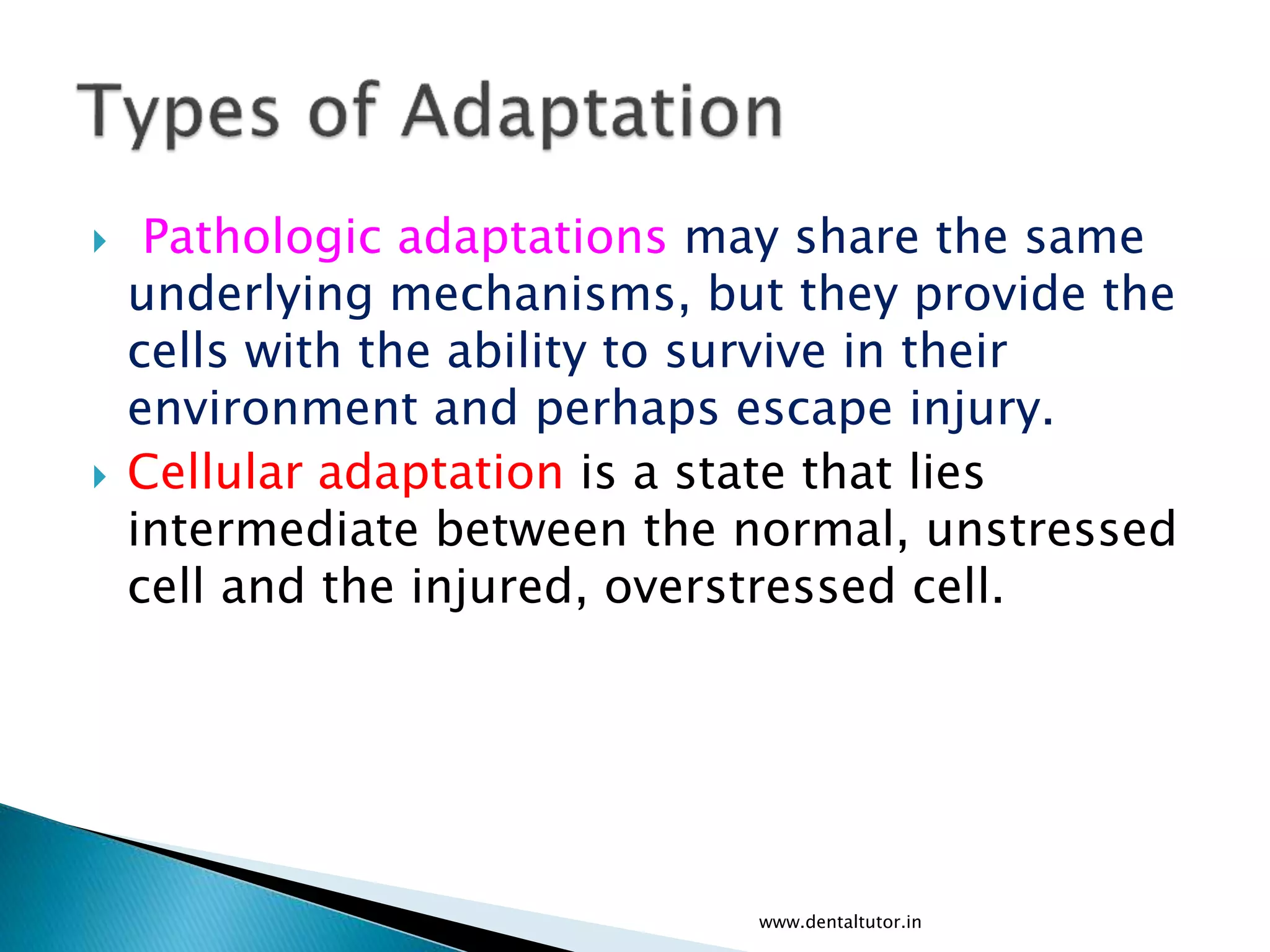 Cellular adaptation | PPTX