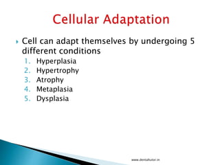 Cellular adaptation | PPTX