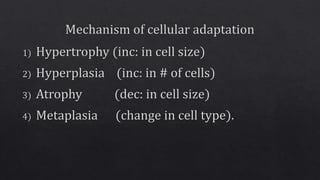 Cellular adaptation | PPT