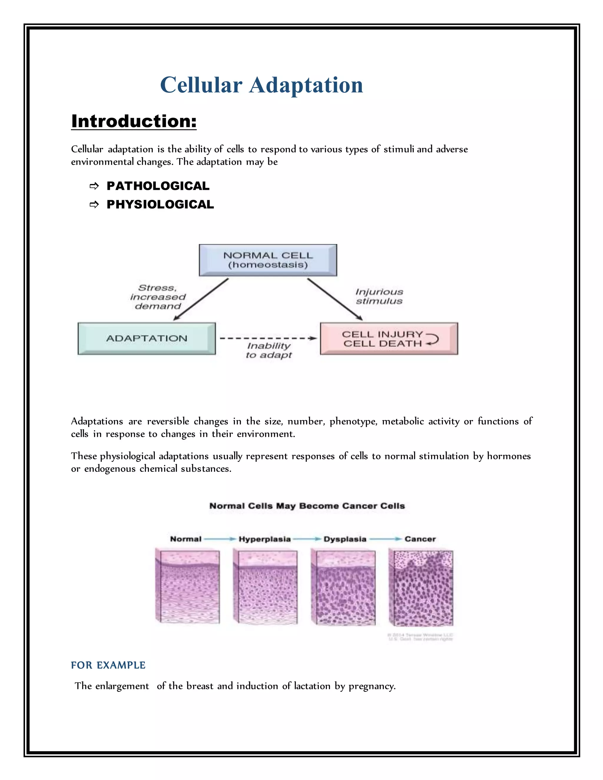 Cellular adaptation | DOCX