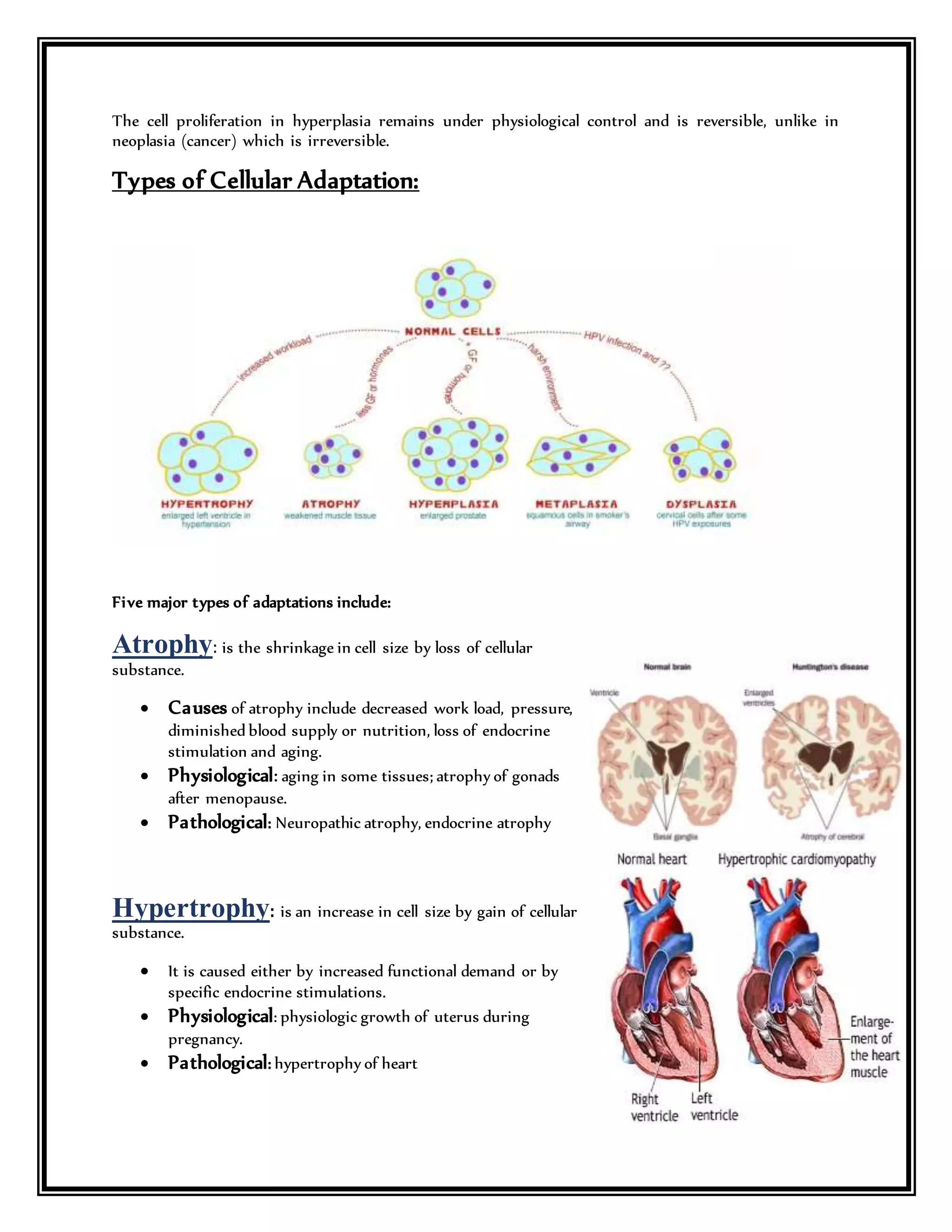 Cellular adaptation | DOCX