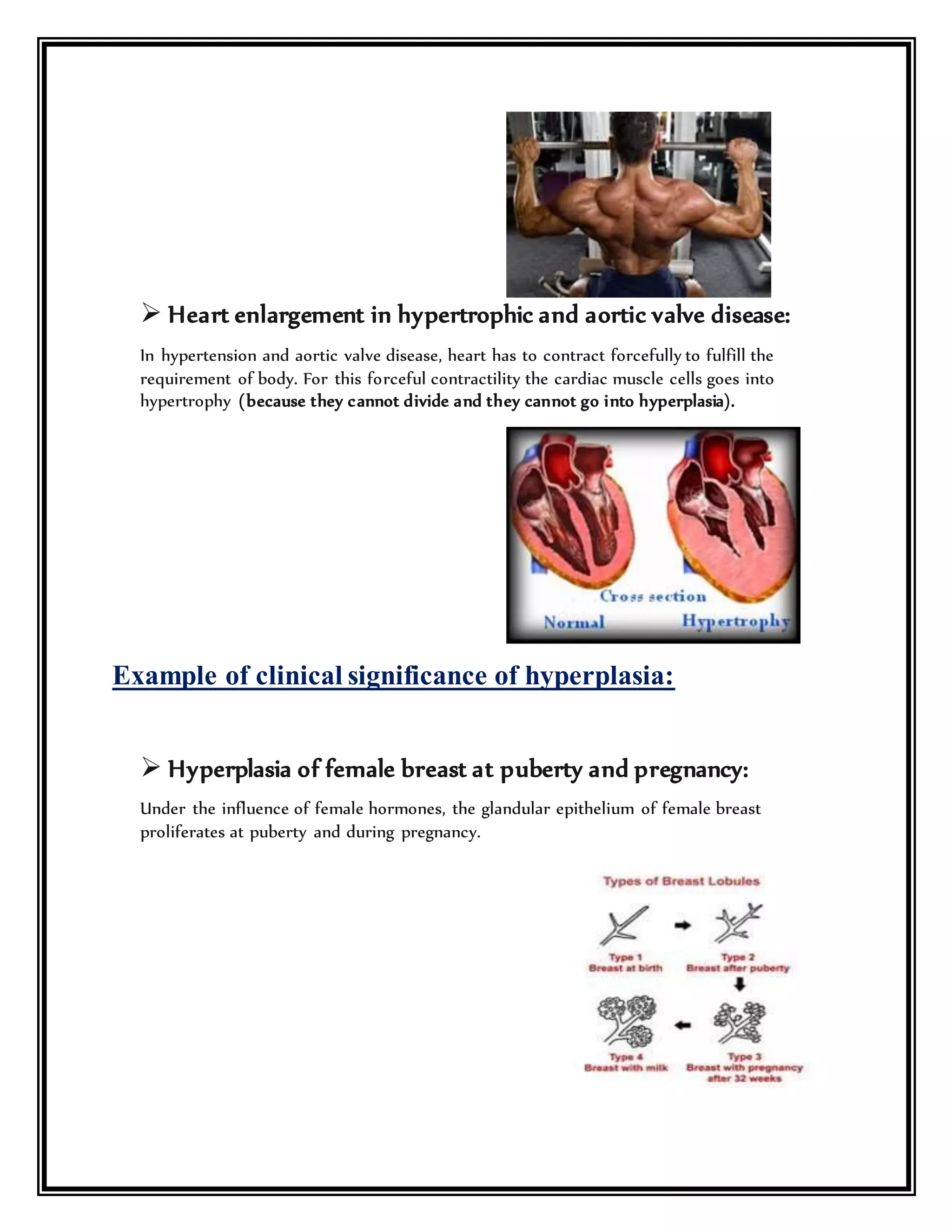 Cellular adaptation | DOCX