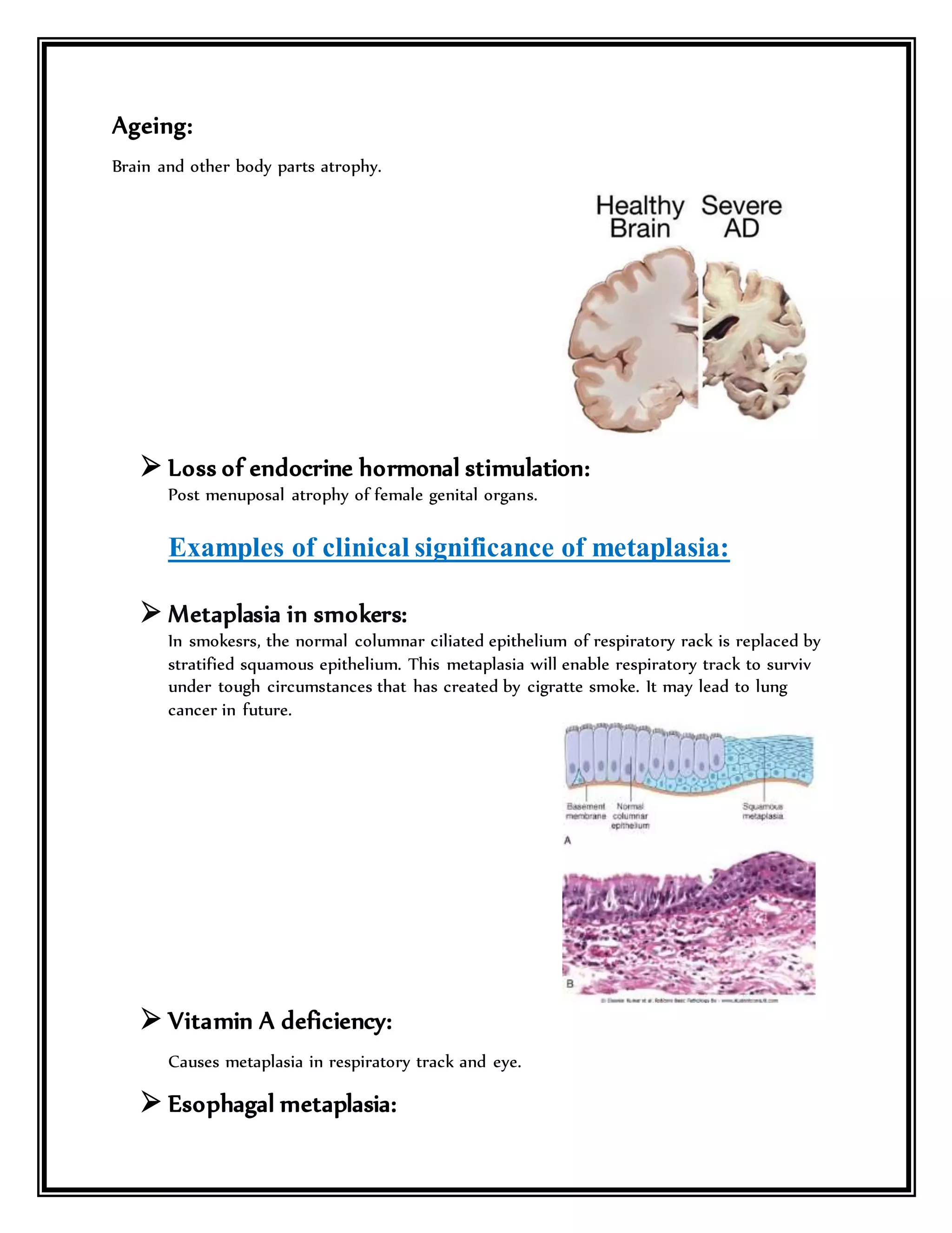 Cellular adaptation | DOCX